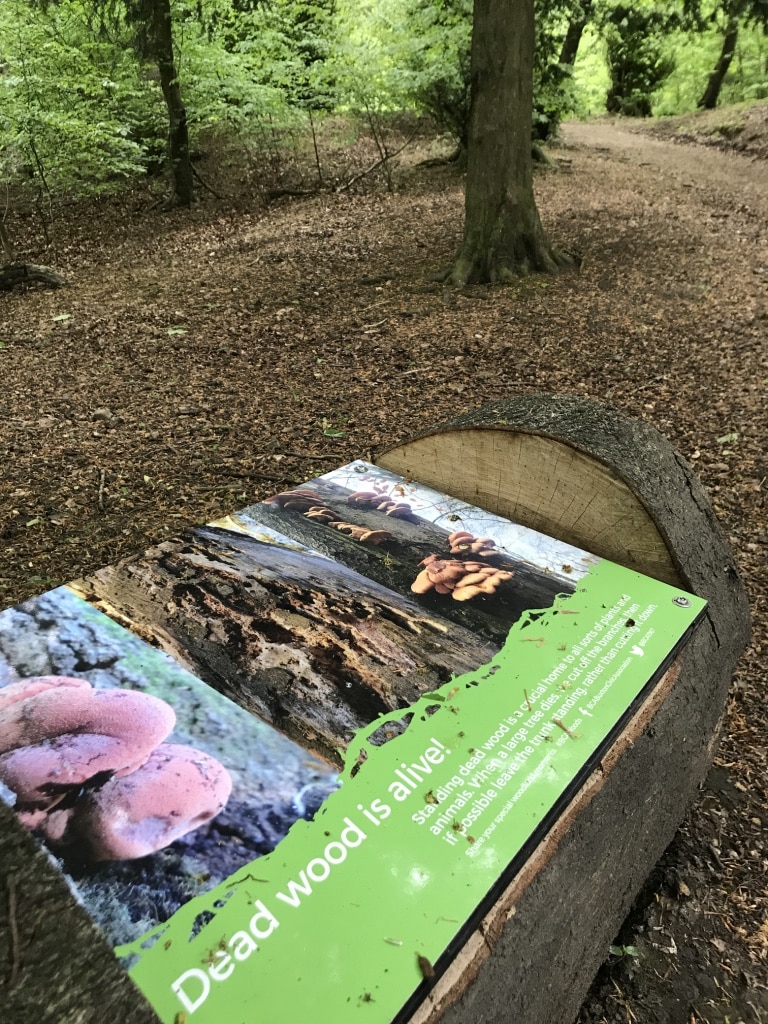 Corbar Cross Buxton Derbyshire - woodland trails with stunning views
